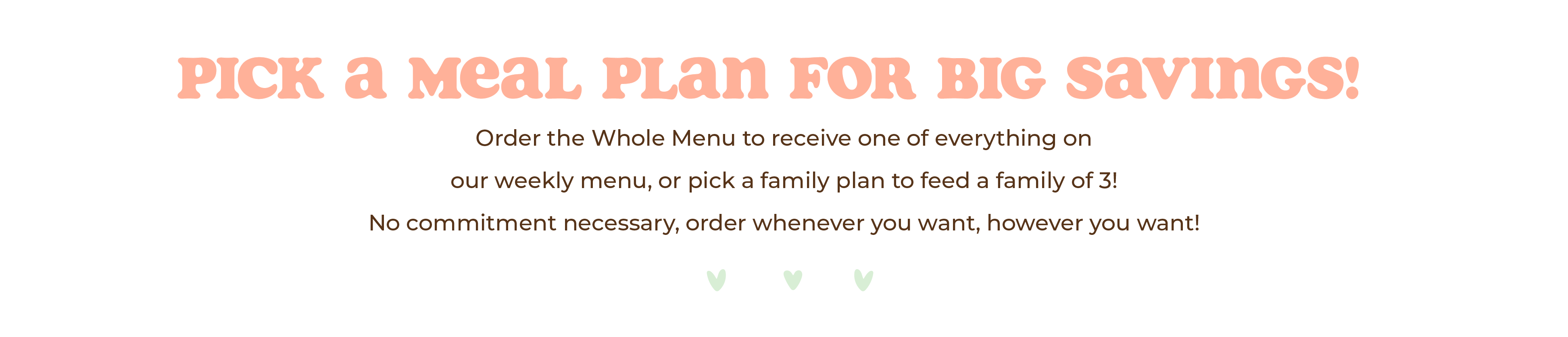 Products – Terracotta Tummy